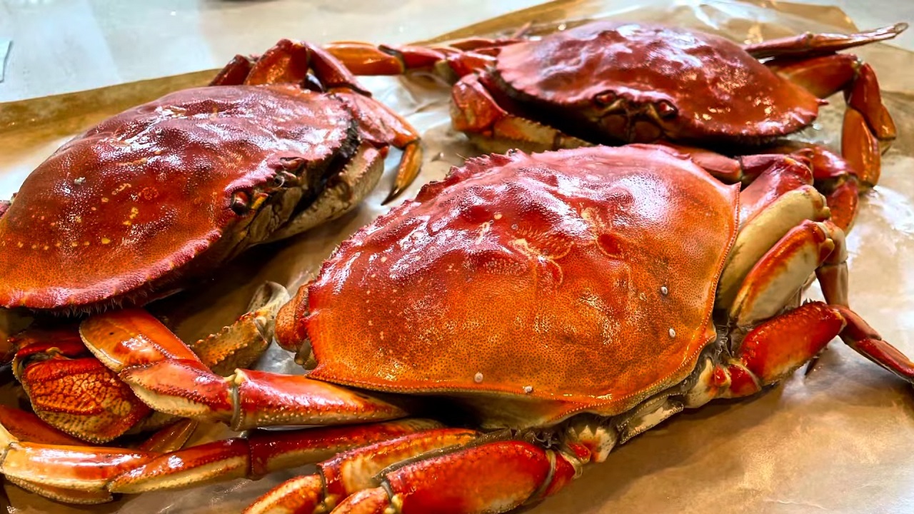 Top 7 Signs Your Crab Is Undercooked (And How to Fix It) - Cooking ...